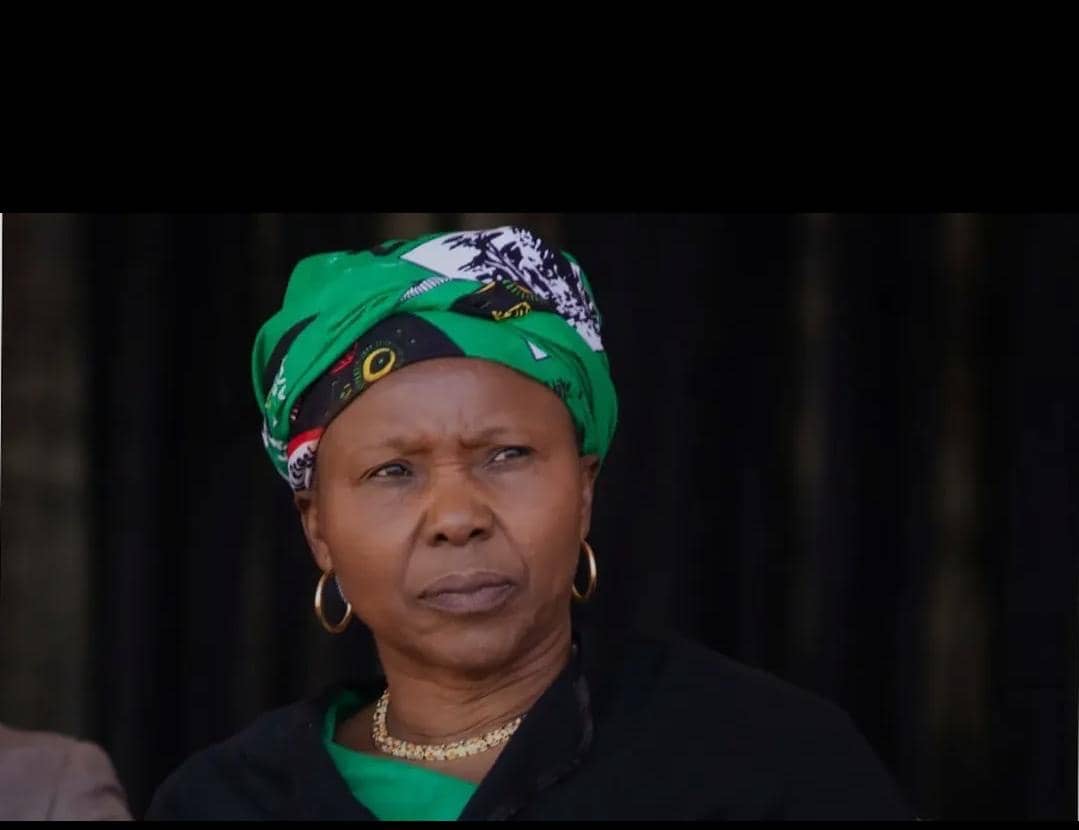 ZANU-PF Conference: US$4 Million Mobilized for Successful Event ...